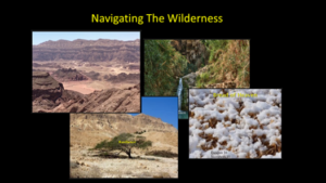 How God Uses the Wilderness to Shape a Beloved Community - The ...